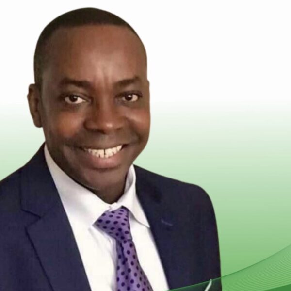 CEO of Nigeria – The Recruitment Protocol -By Tony Osakpamwan Agbons ...