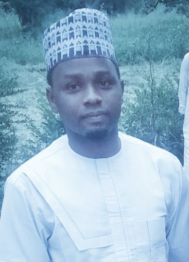 Maya Declaration and CBN's Elusive Financial Inclusion -By Rabiu Musa ...