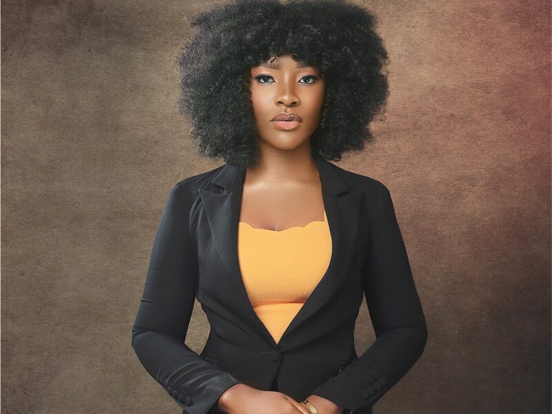 Laws Regulating Intellectual Property In Nigeria -By Joy Ayara ...