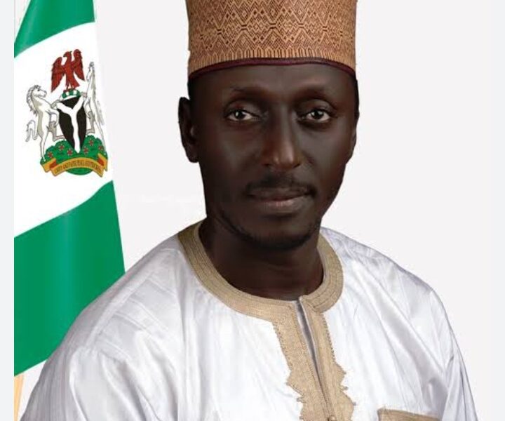 World Environment Day 2024: Dissecting Maina Bukar's Stride At NAGGW ...