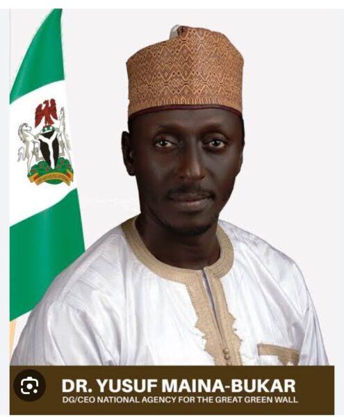 World Environment Day 2024: Dissecting Maina Bukar's Stride At NAGGW ...