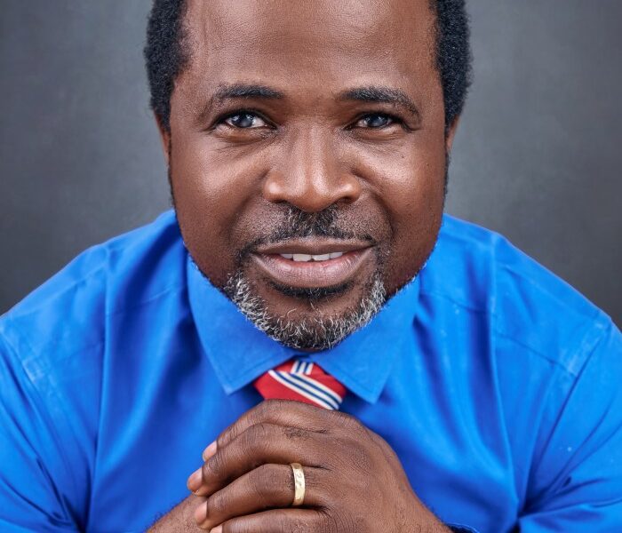 The Digitalization Revolution in the Nigerian Financial Sector: A Departure from Traditional ...